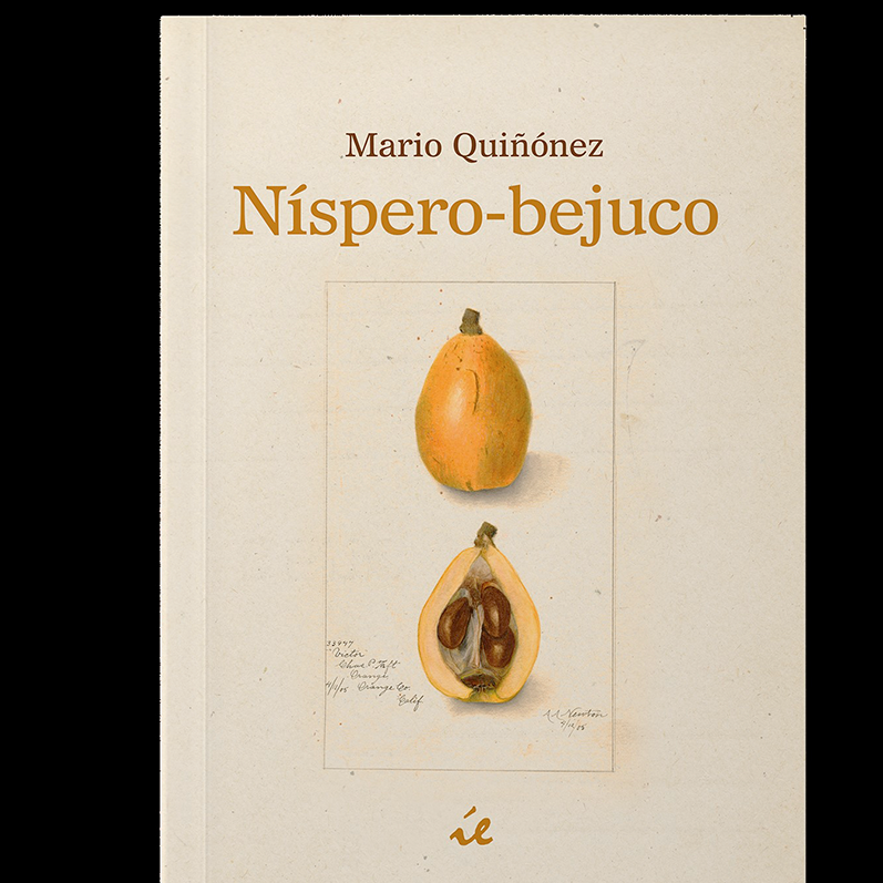 Níspero-bejuco | www.casamerica.es