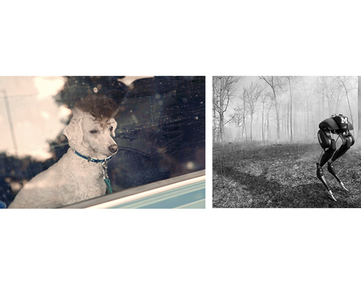 Daisy Zamora Solórzano, ganadora del XXIII Premio Casa de América de ...