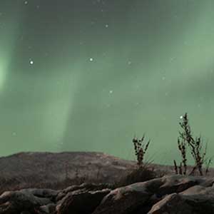 Errante. La conquista del hogar | www.casamerica.es